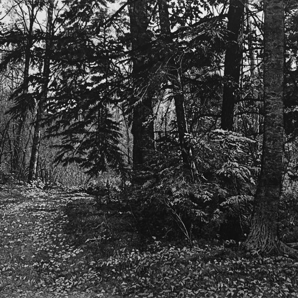 Barbara Pihos - Illinois Artists’ List